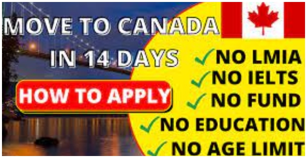 Move to Canada in 14 Days with International Mobility Program